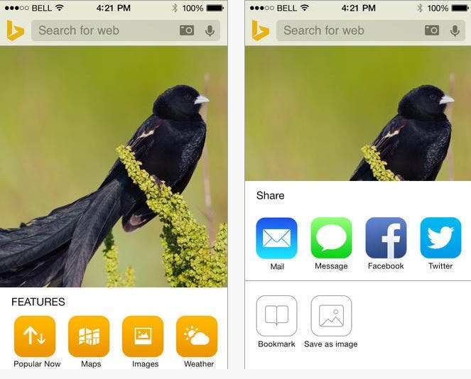 Microsoft Bing App für iOS erhält Update - PocketPC.ch